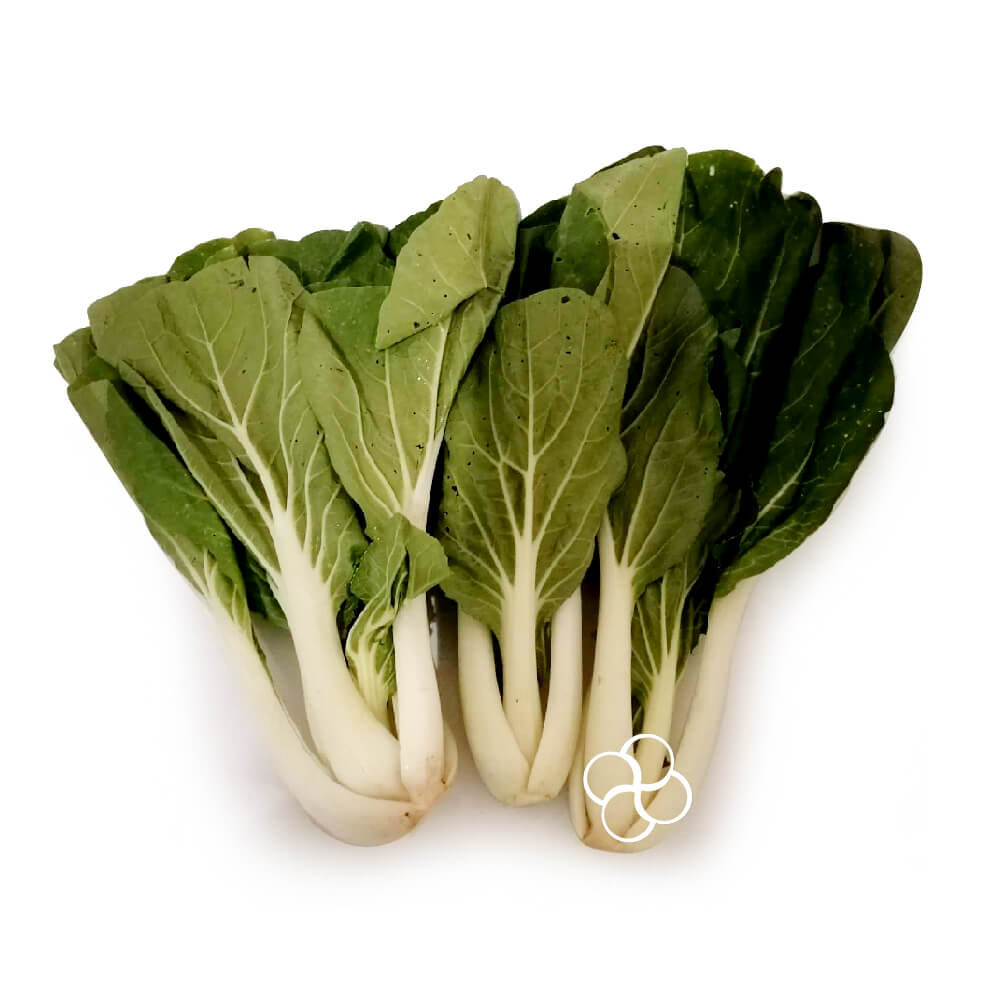 Landers.ph | Landers Superstore