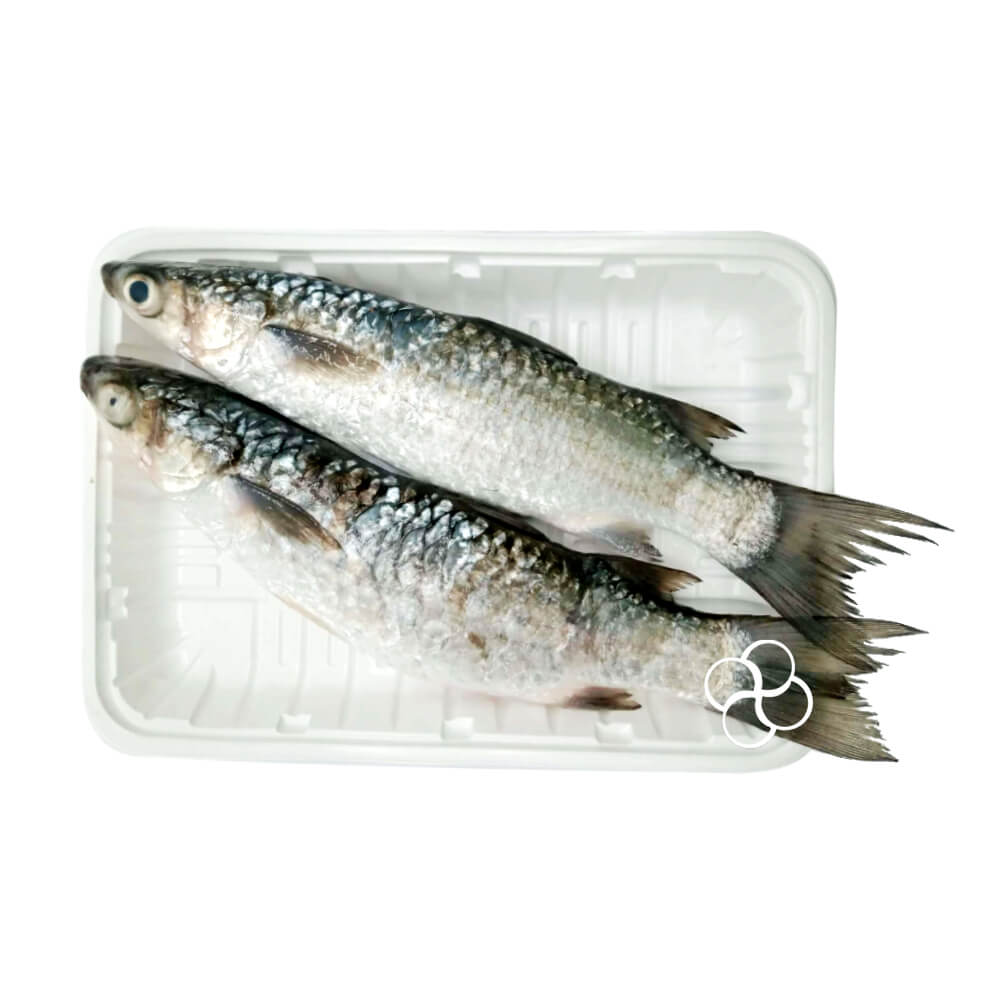 Landers.ph | Landers Superstore