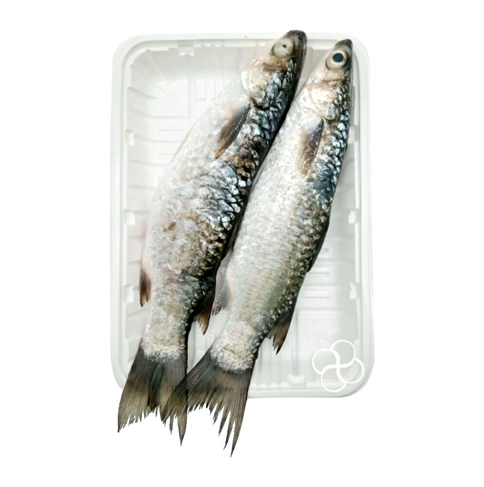 Landers.ph | Landers Superstore