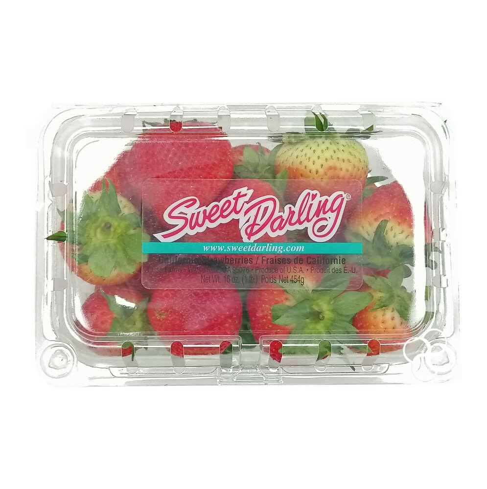 Landers.ph | Landers Superstore