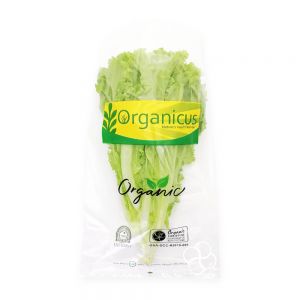 Lettuce