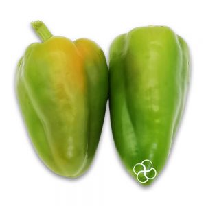 Bell Pepper