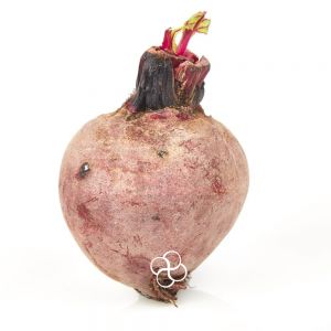 Beetroot