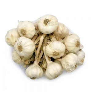 Garlic